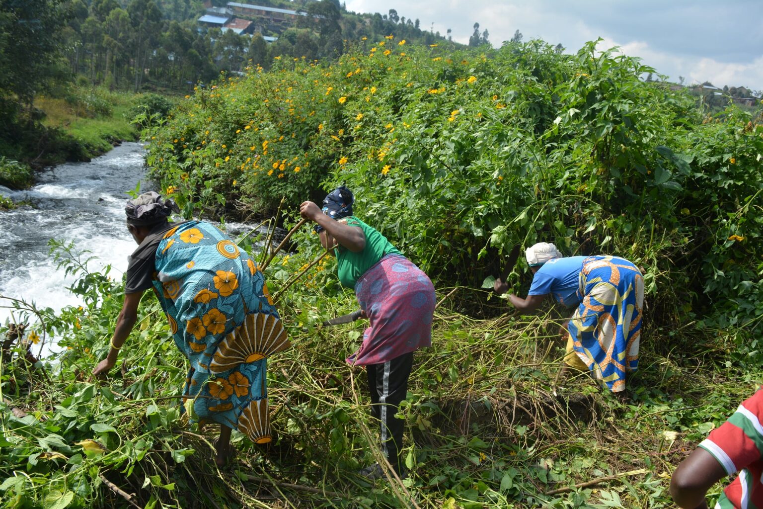 Learn About Nature Rwanda - Volunteer Opportunity in Africa | True ...