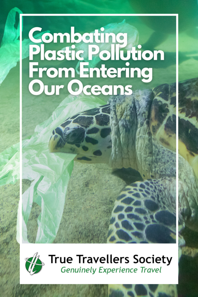 Combating Plastic Pollution From Entering Our Oceans | True Travellers ...